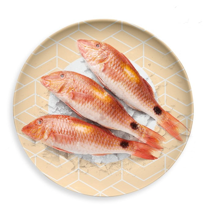 Indian Goat Fish